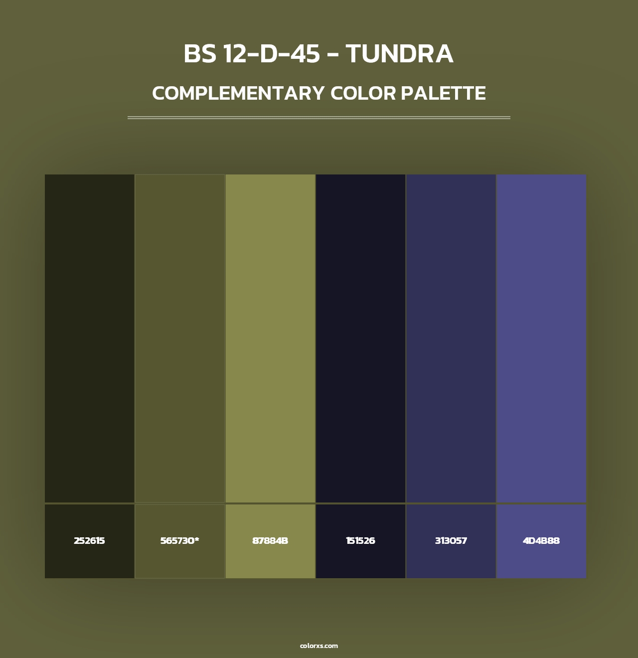 BS 12-D-45 - Tundra color palettes - colorxs.com