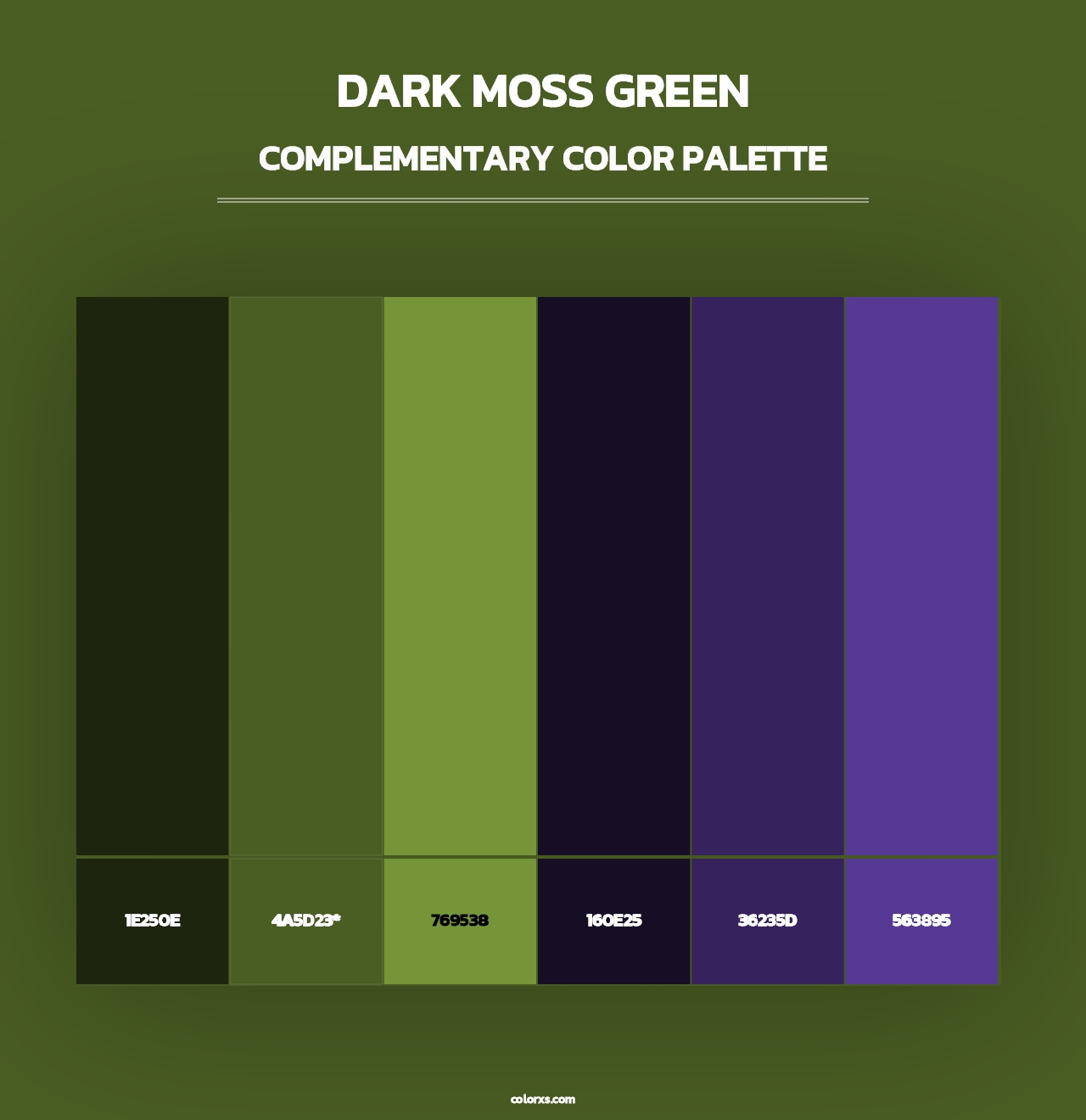 Dark Moss Green color palettes - colorxs.com