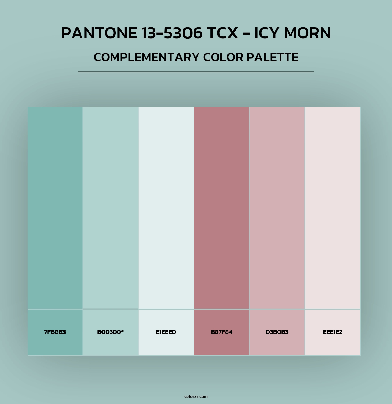 PANTONE 13-5306 TCX - Icy Morn color palettes - colorxs.com