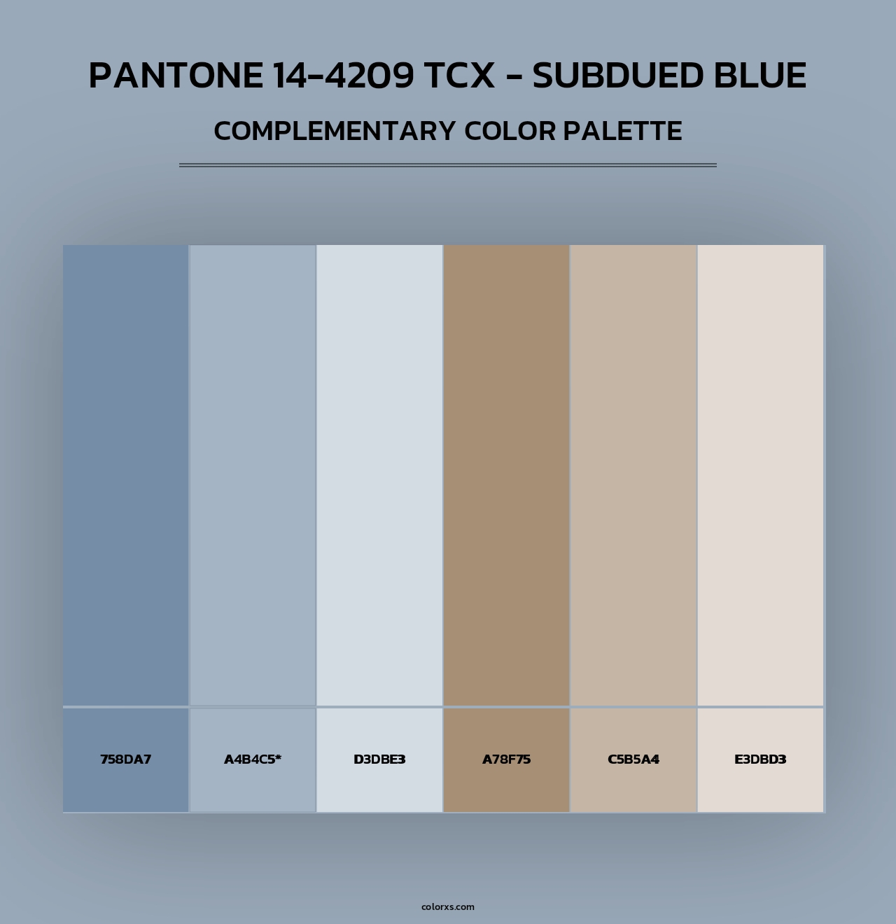 Pantone 14-4209 TCX - Subdued Blue color palettes - colorxs.com