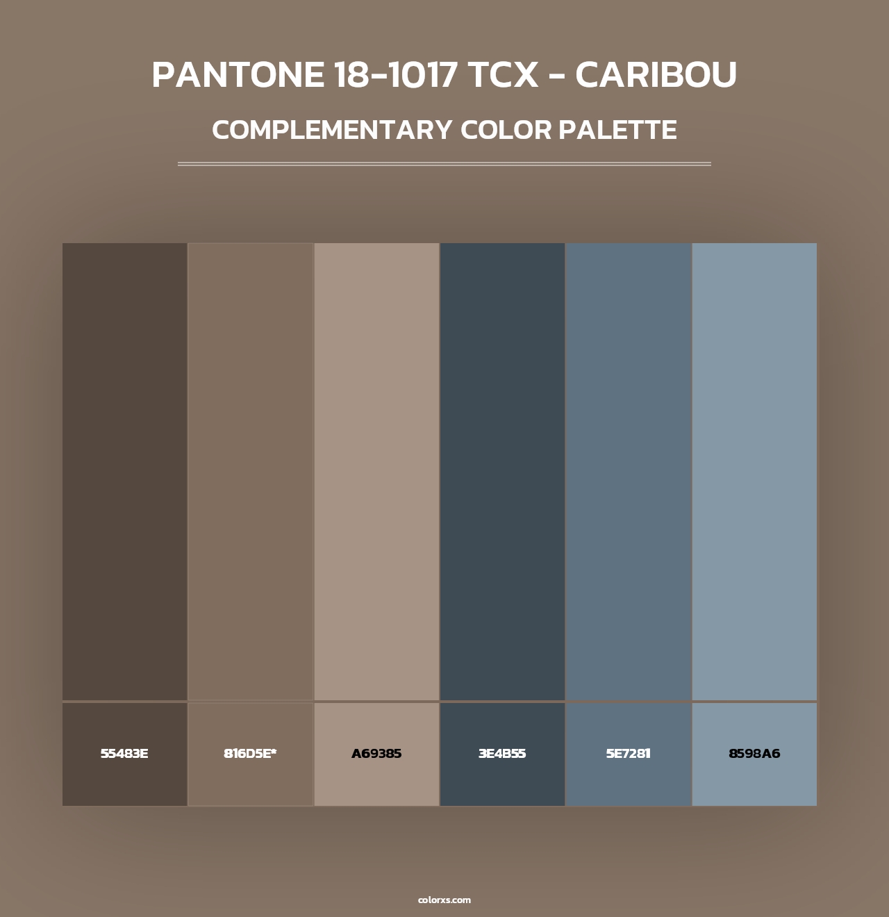 PANTONE 18-1017 TCX - Caribou color palettes - colorxs.com