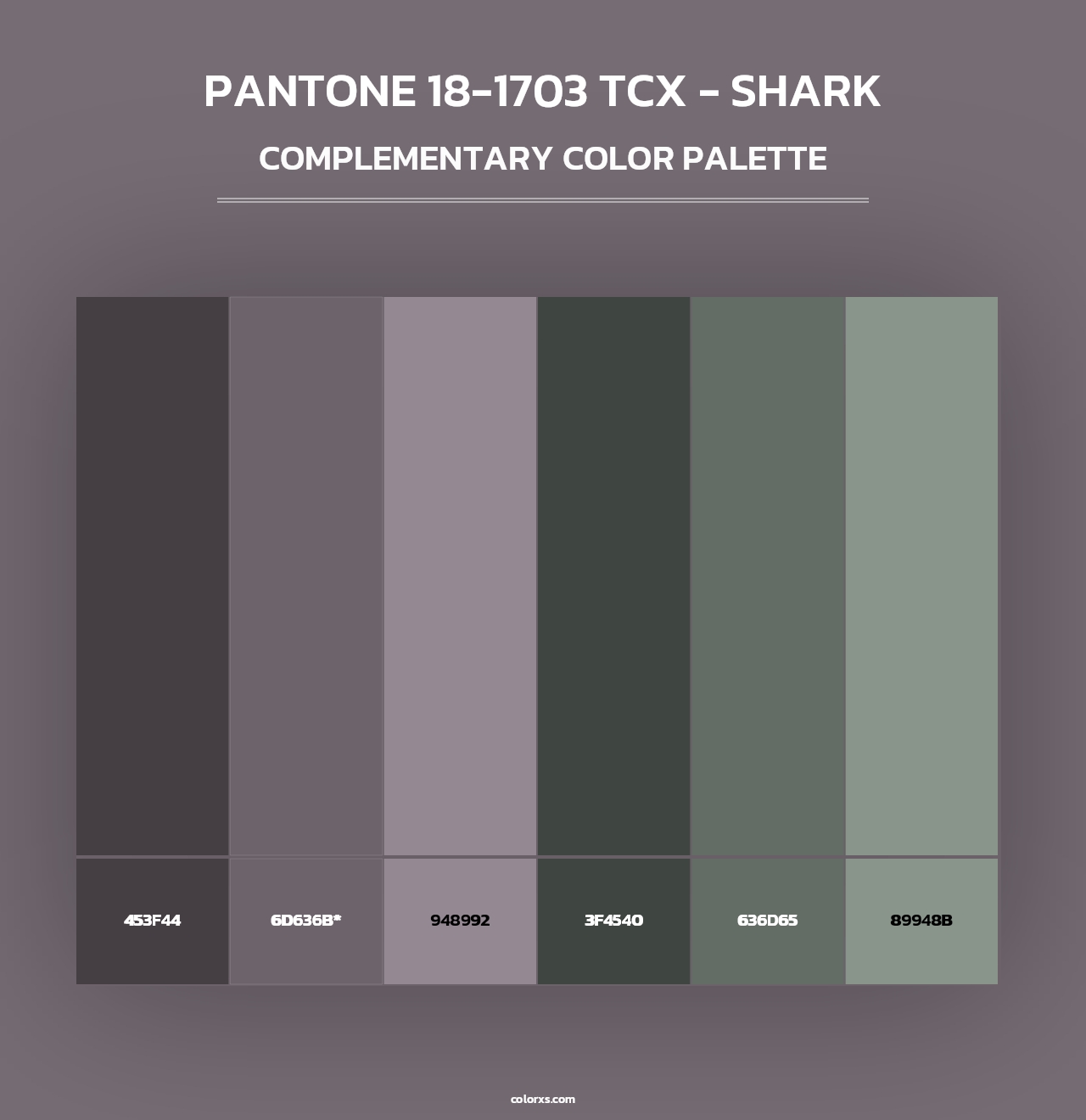 PANTONE 18-1703 TCX - Shark color palettes - colorxs.com