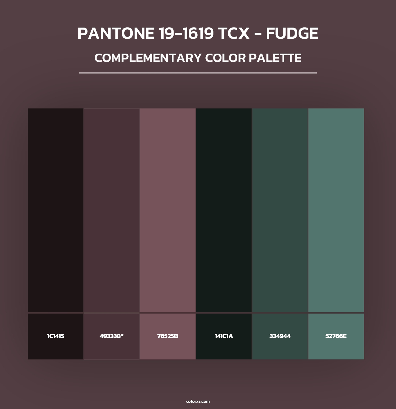 PANTONE 19-1619 TCX - Fudge color palettes - colorxs.com