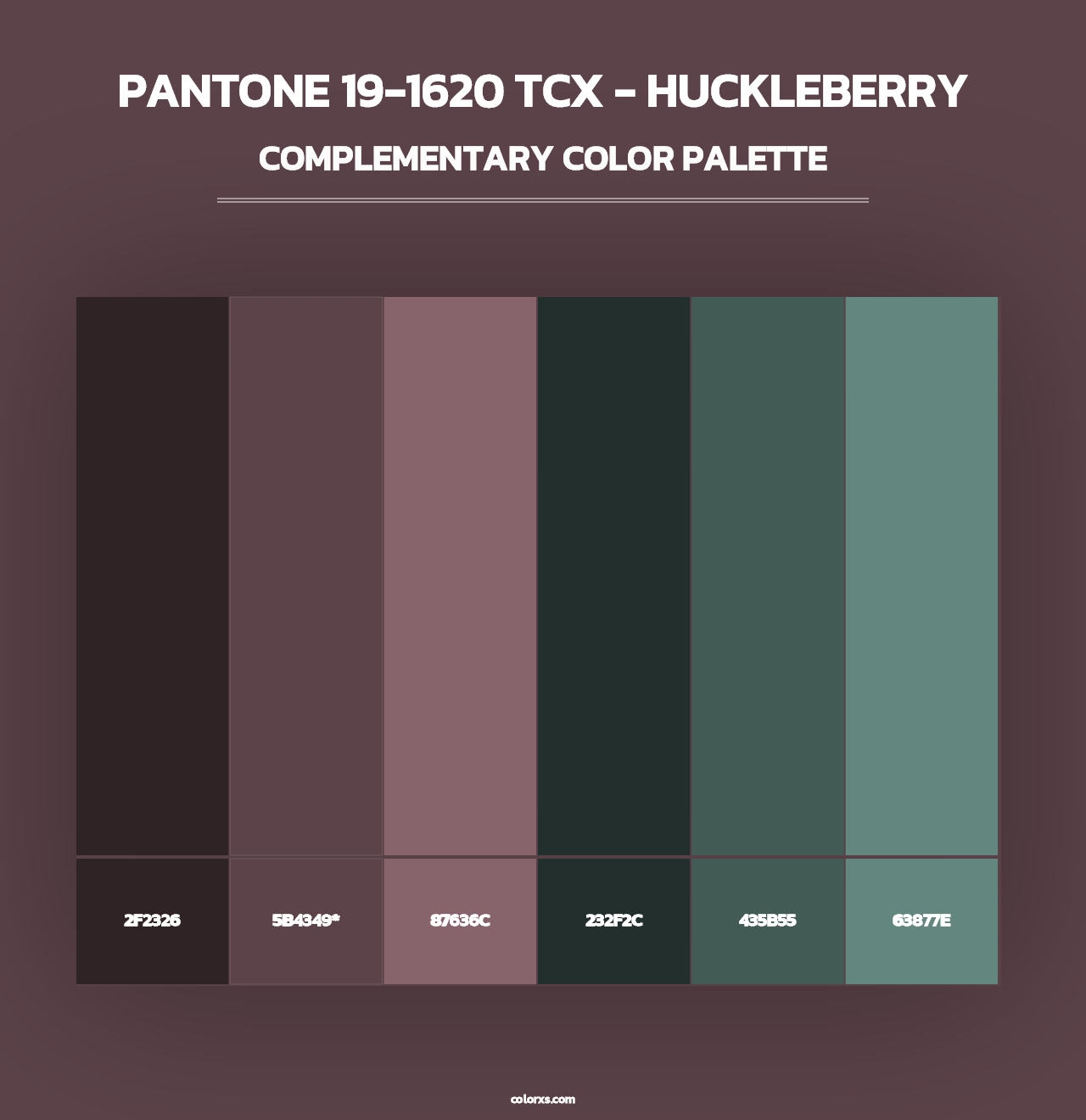 PANTONE 19-1620 TCX - Huckleberry color palettes - colorxs.com