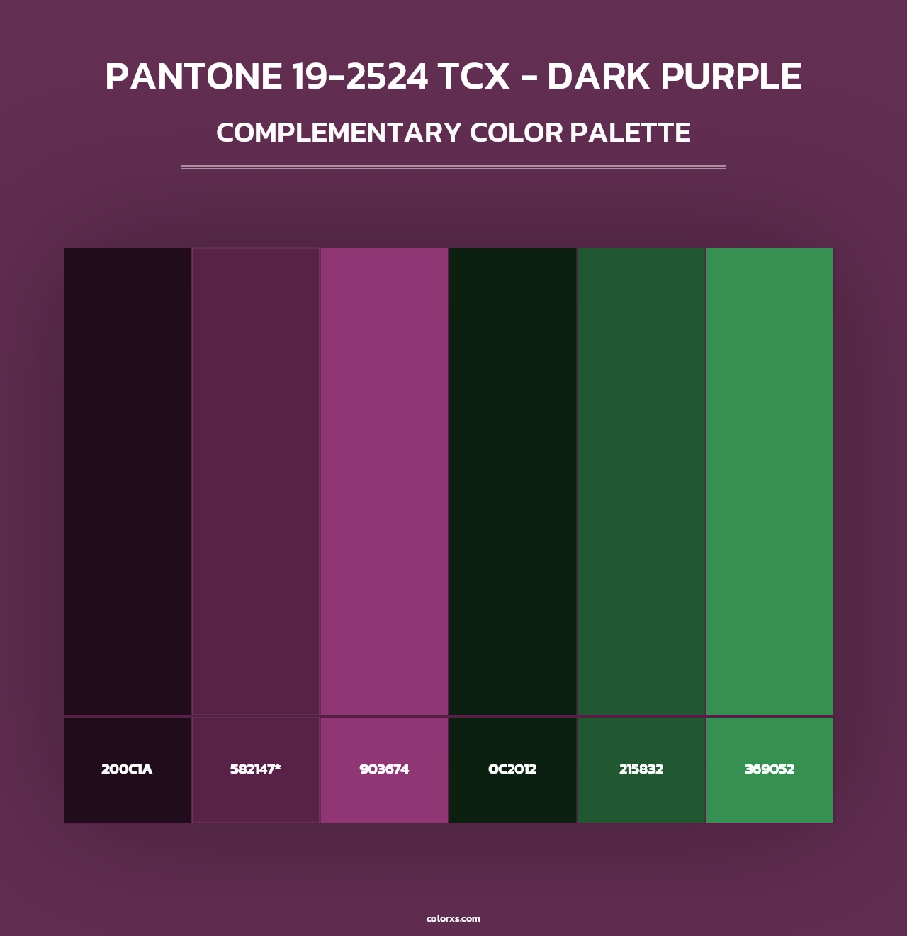 PANTONE 19-2524 TCX - Dark Purple color palettes - colorxs.com