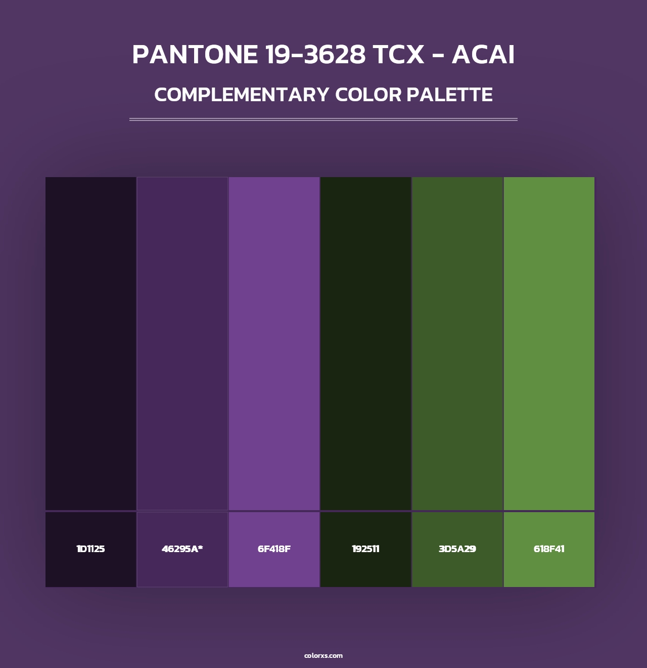 PANTONE 19-3628 TCX - Acai color palettes - colorxs.com