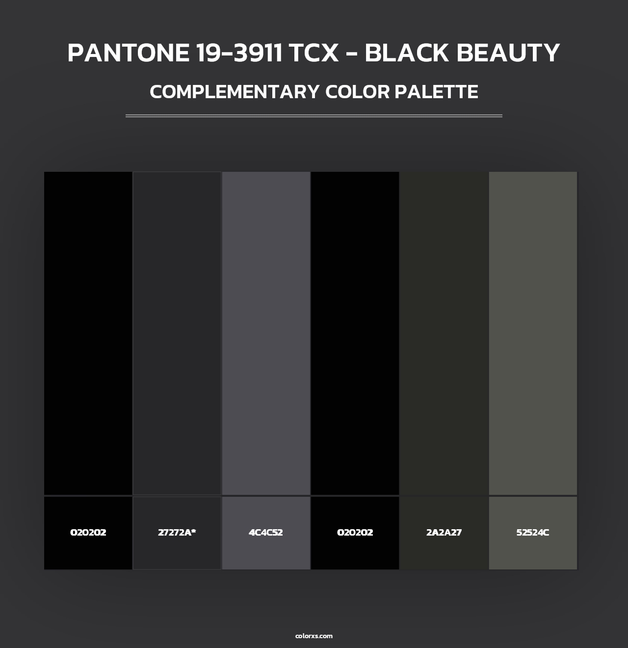 PANTONE 19-3911 TCX - Black Beauty color palettes - colorxs.com