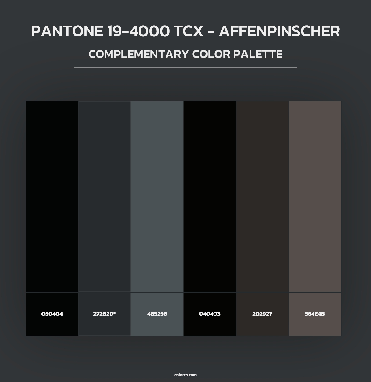 PANTONE 19-4000 TCX - Affenpinscher color palettes - colorxs.com