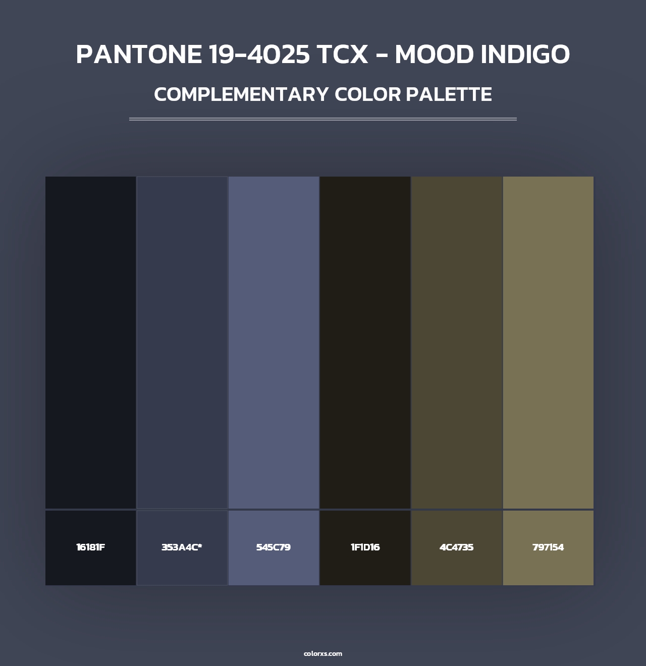 PANTONE 19-4025 TCX - Mood Indigo color palettes - colorxs.com