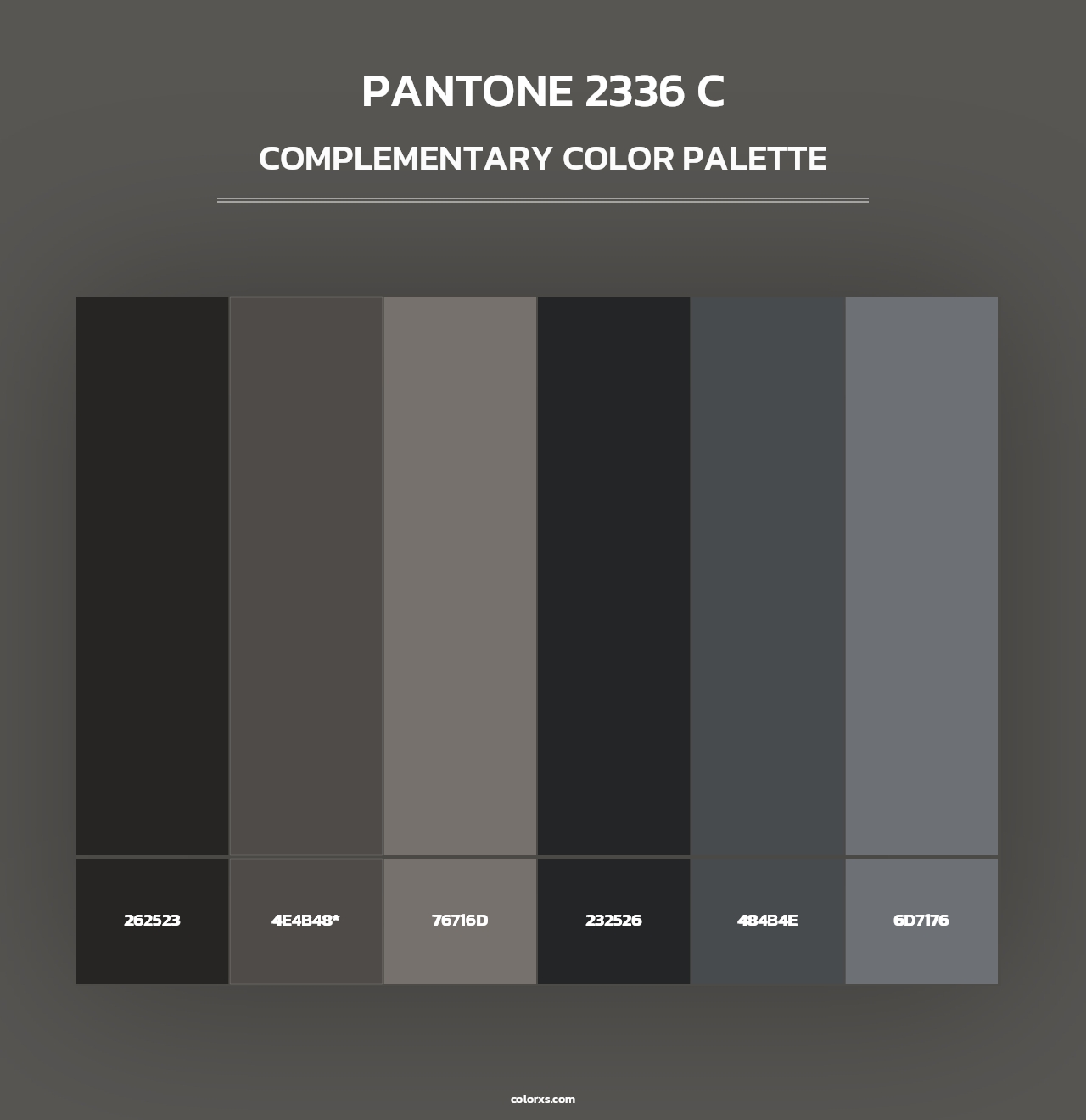 PANTONE 2336 C color palettes - colorxs.com