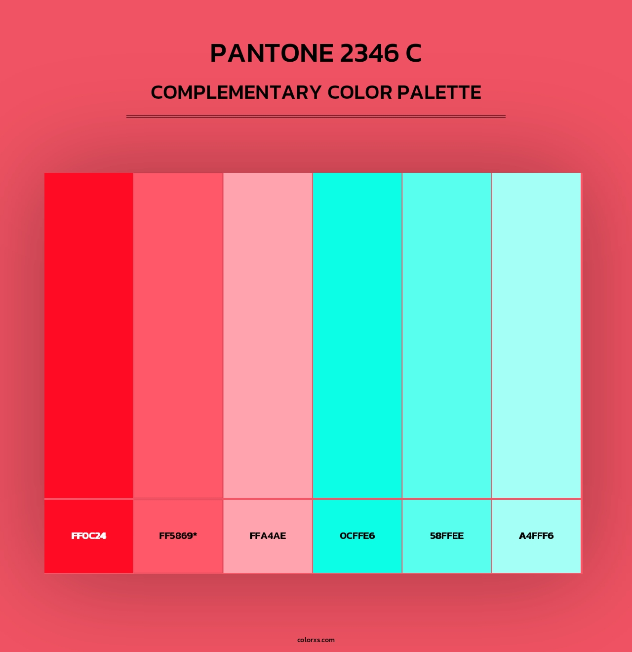 PANTONE 2346 C color palettes - colorxs.com