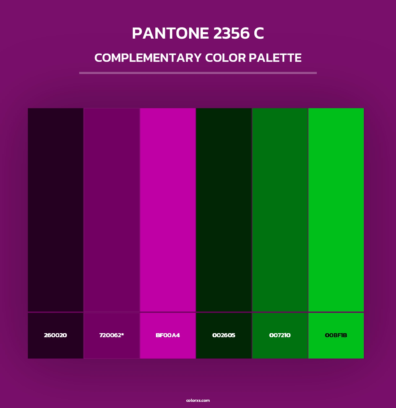 PANTONE 2356 C color palettes - colorxs.com