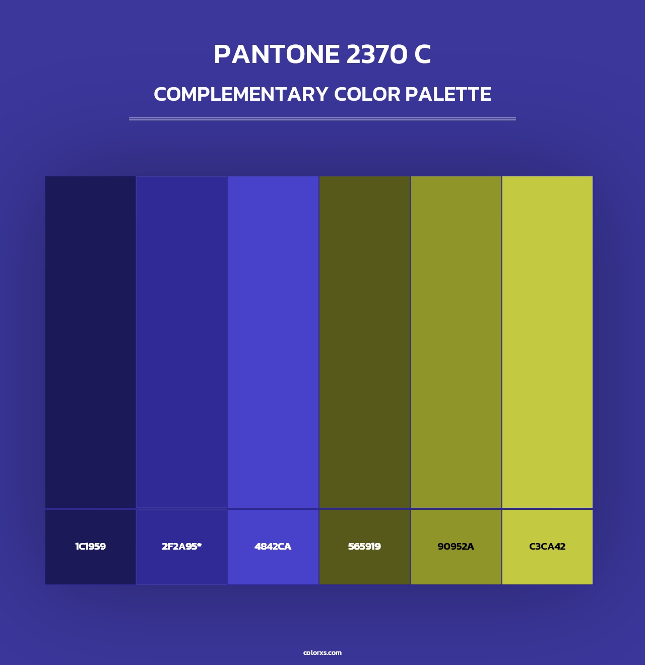 PANTONE 2370 C color palettes - colorxs.com