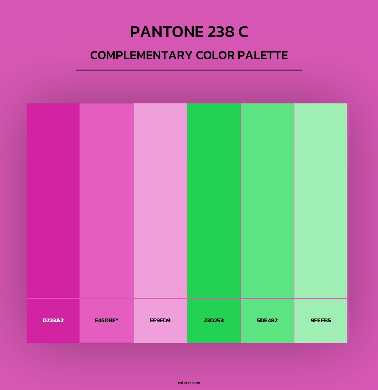 PANTONE 238 C color palettes - colorxs.com