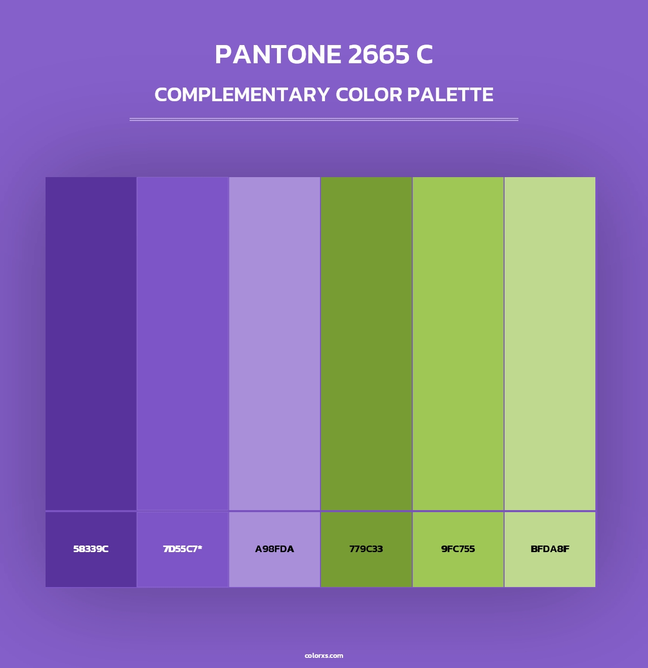 PANTONE 2665 C color palettes - colorxs.com