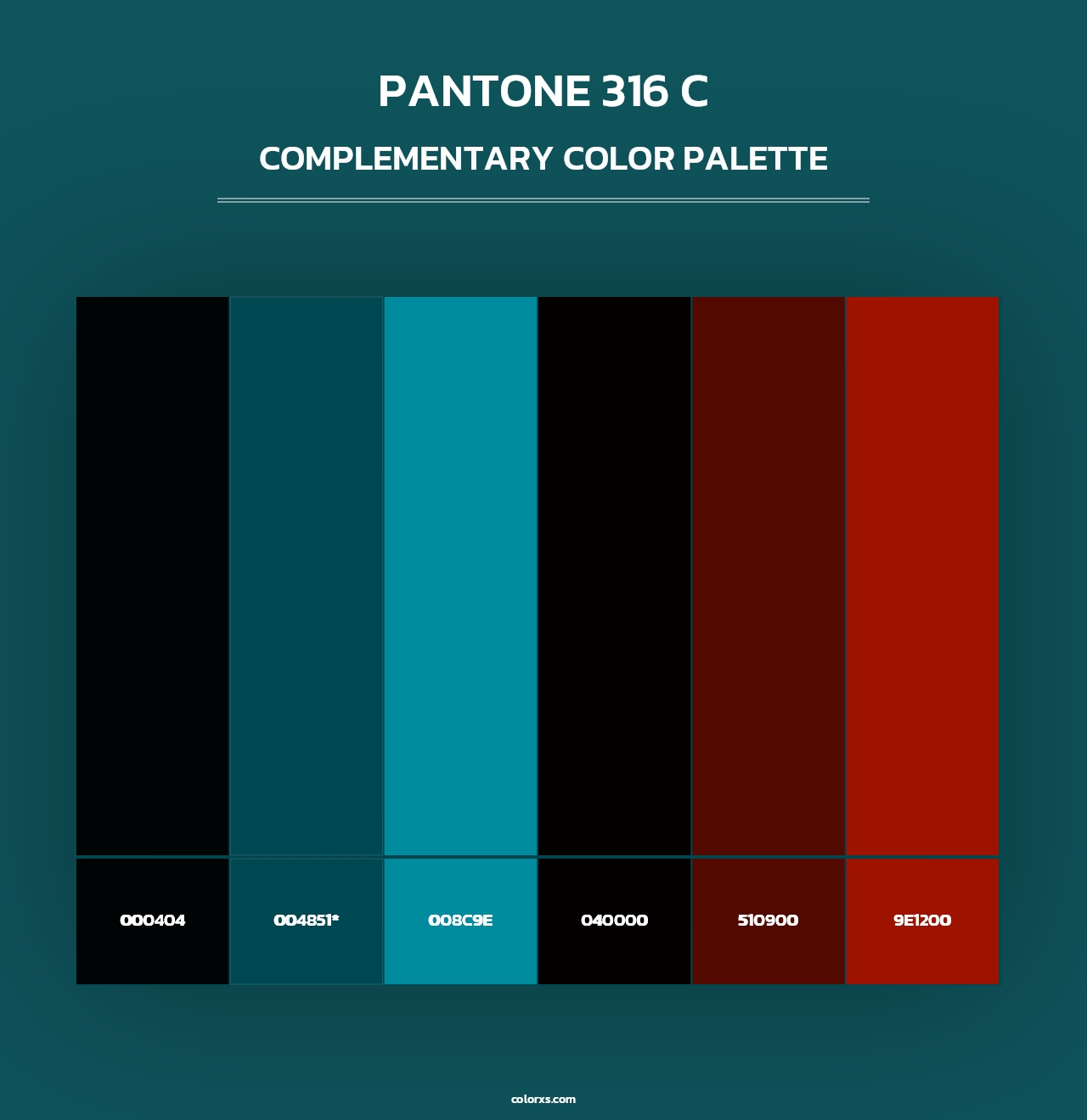 PANTONE 316 C color palettes - colorxs.com