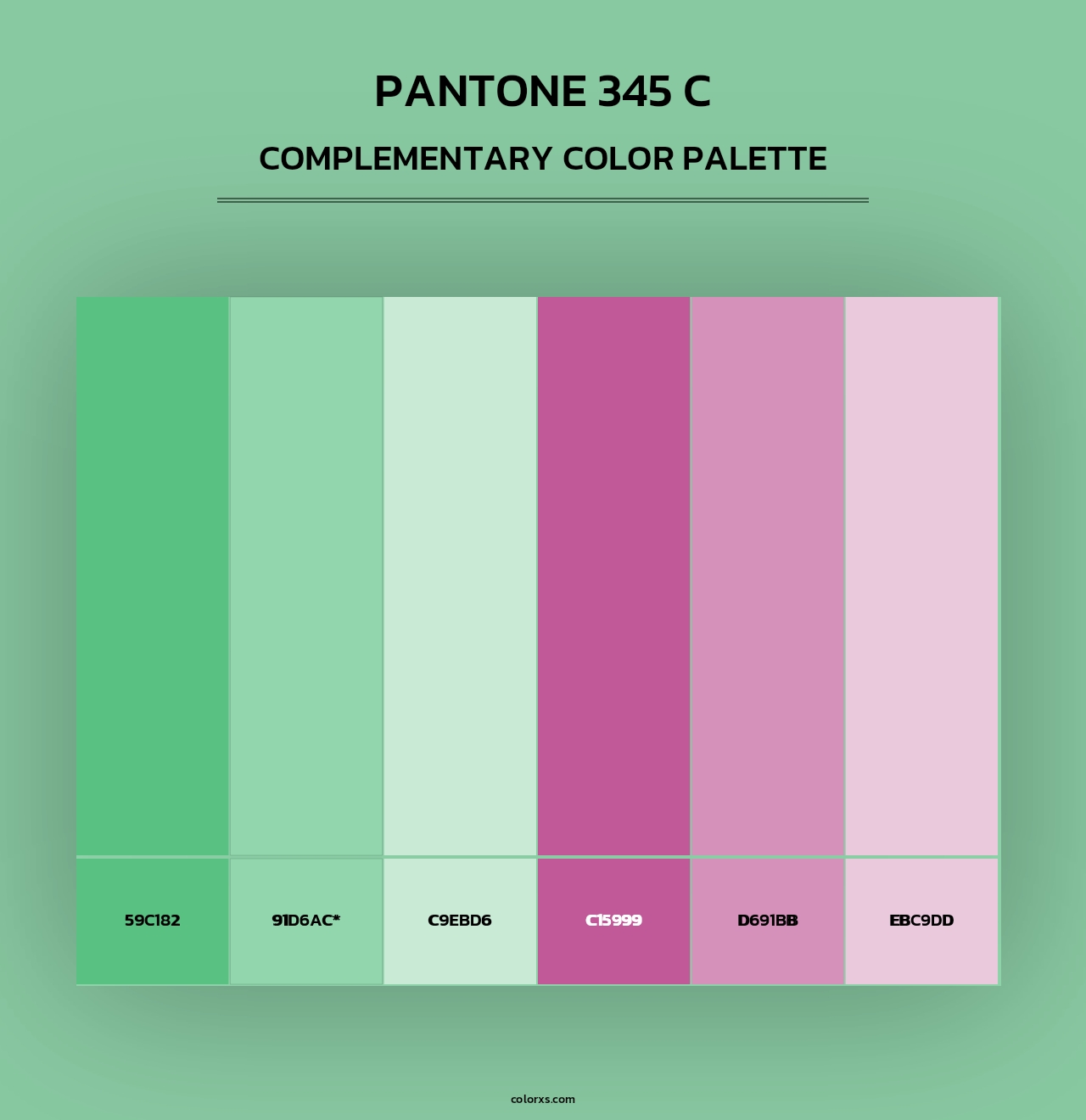 PANTONE 345 C color palettes - colorxs.com