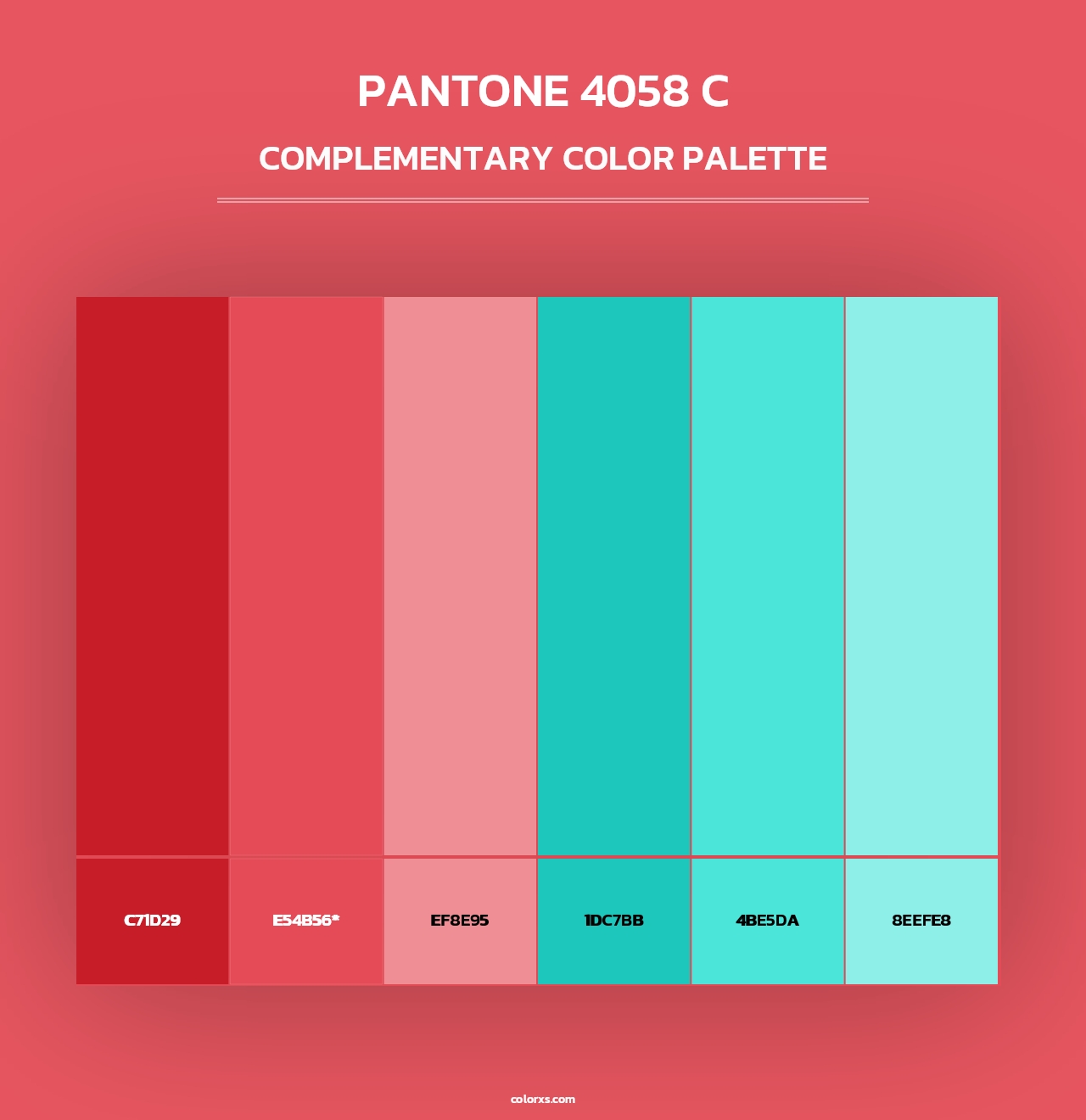 PANTONE 4058 C color palettes - colorxs.com