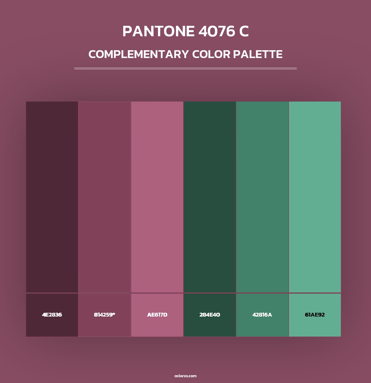PANTONE 4076 C color palettes - colorxs.com
