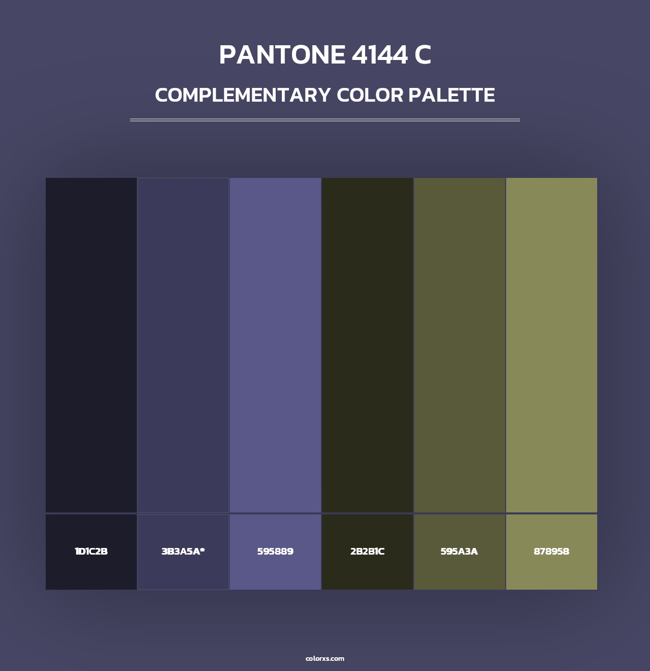 PANTONE 4144 C color palettes - colorxs.com