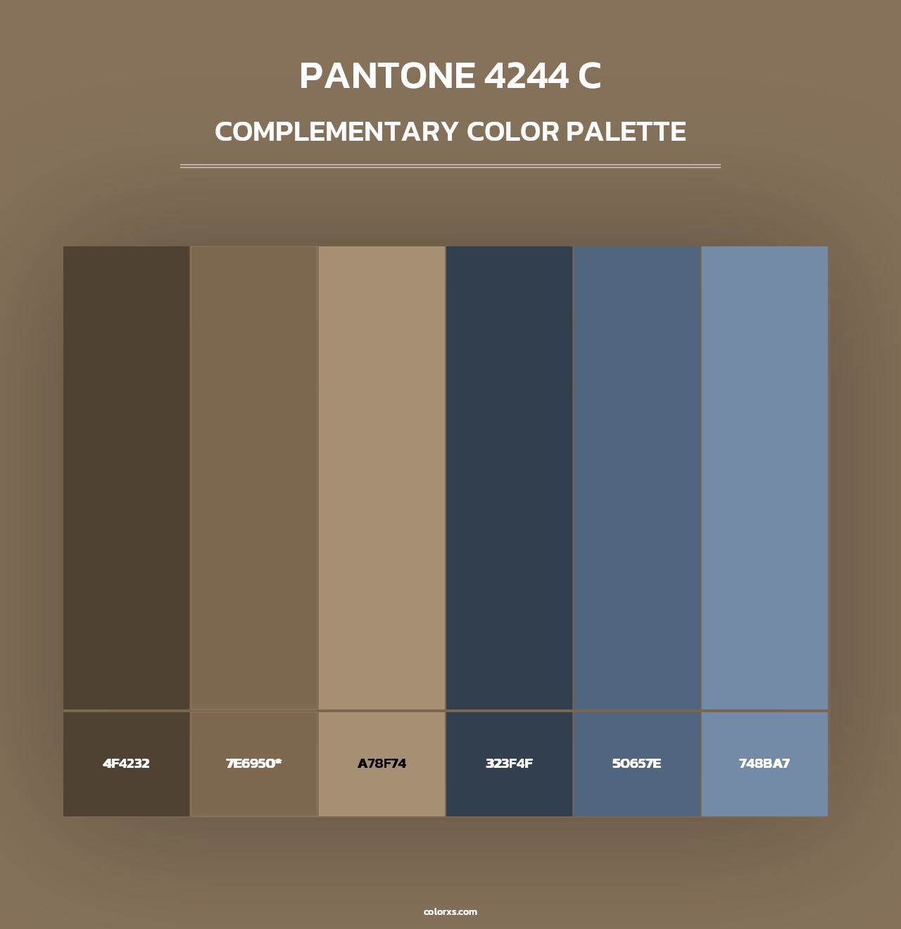 PANTONE 4244 C color palettes - colorxs.com