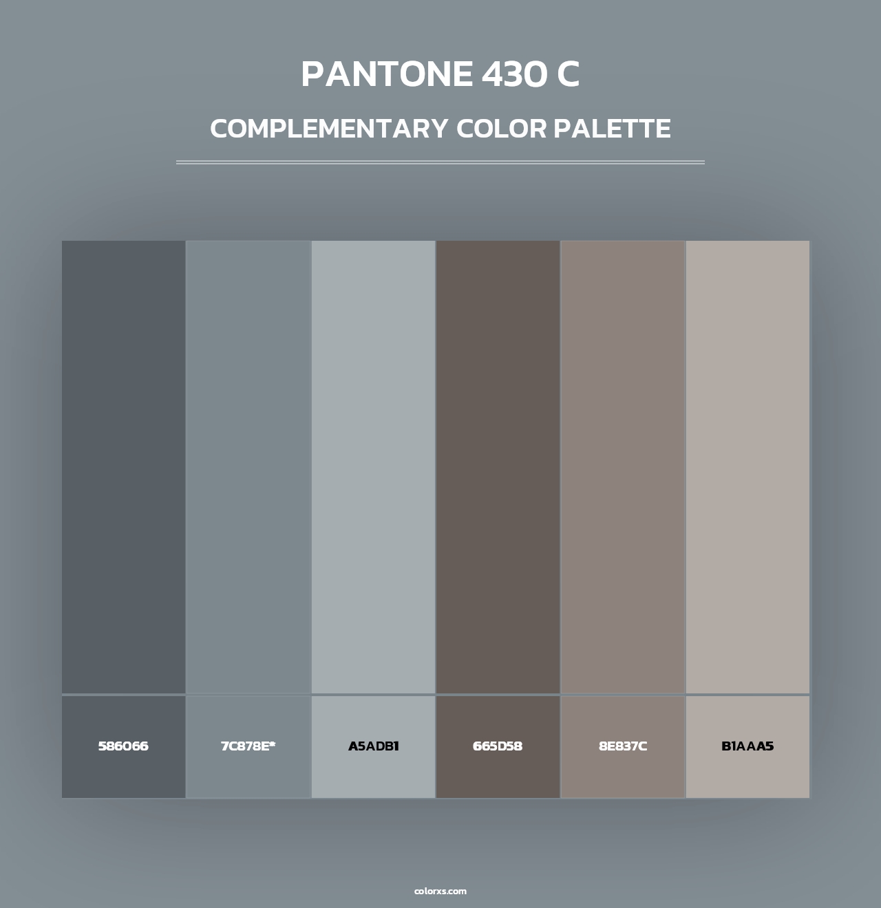PANTONE 430 C color palettes - colorxs.com
