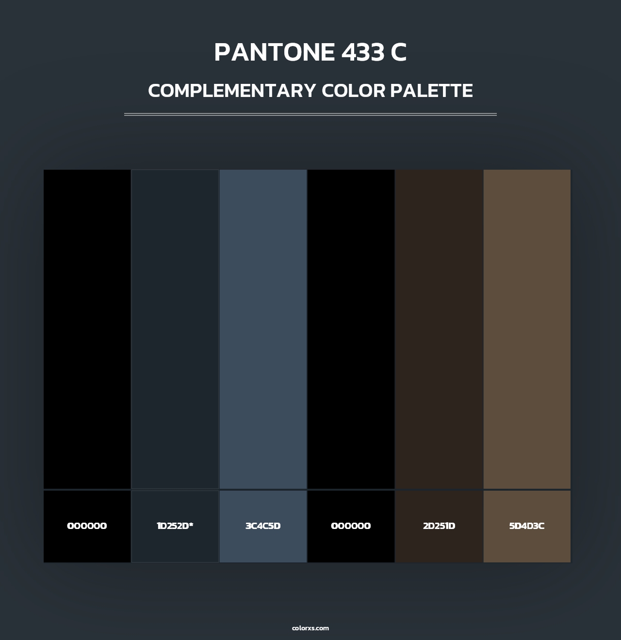 PANTONE 433 C color palettes - colorxs.com
