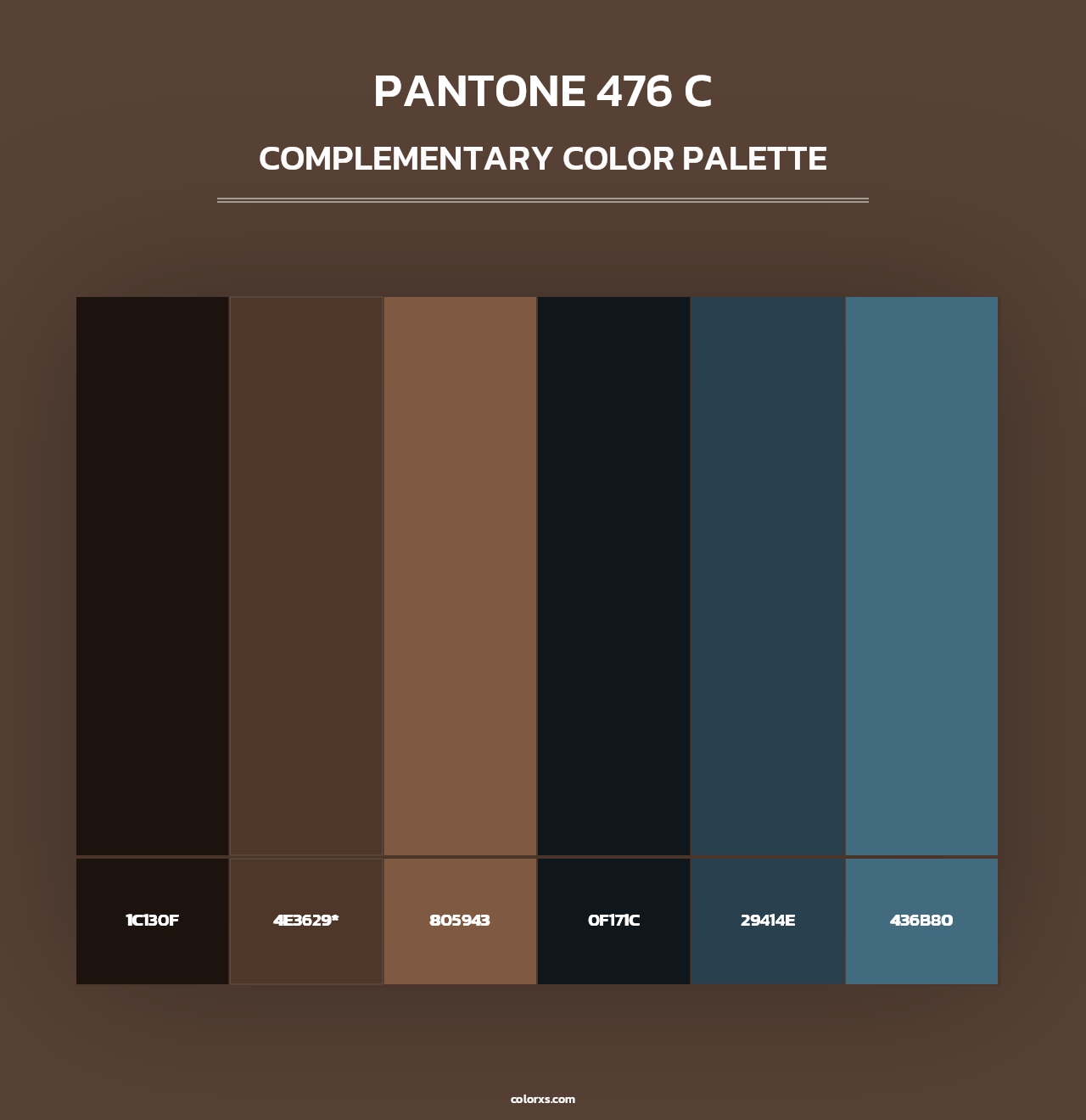 PANTONE 476 C color palettes - colorxs.com