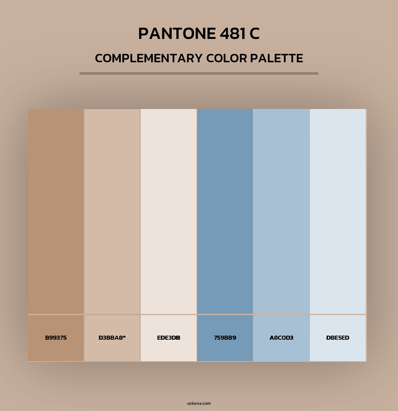 PANTONE 481 C color palettes - colorxs.com