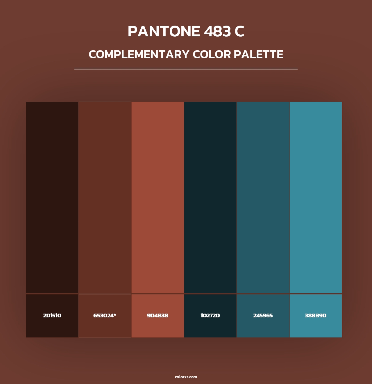 PANTONE 483 C color palettes - colorxs.com
