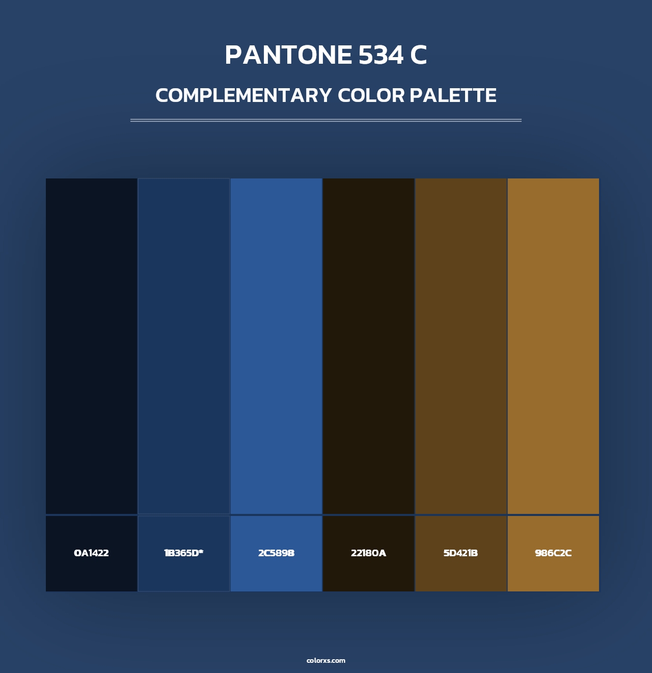 PANTONE 534 C color palettes - colorxs.com