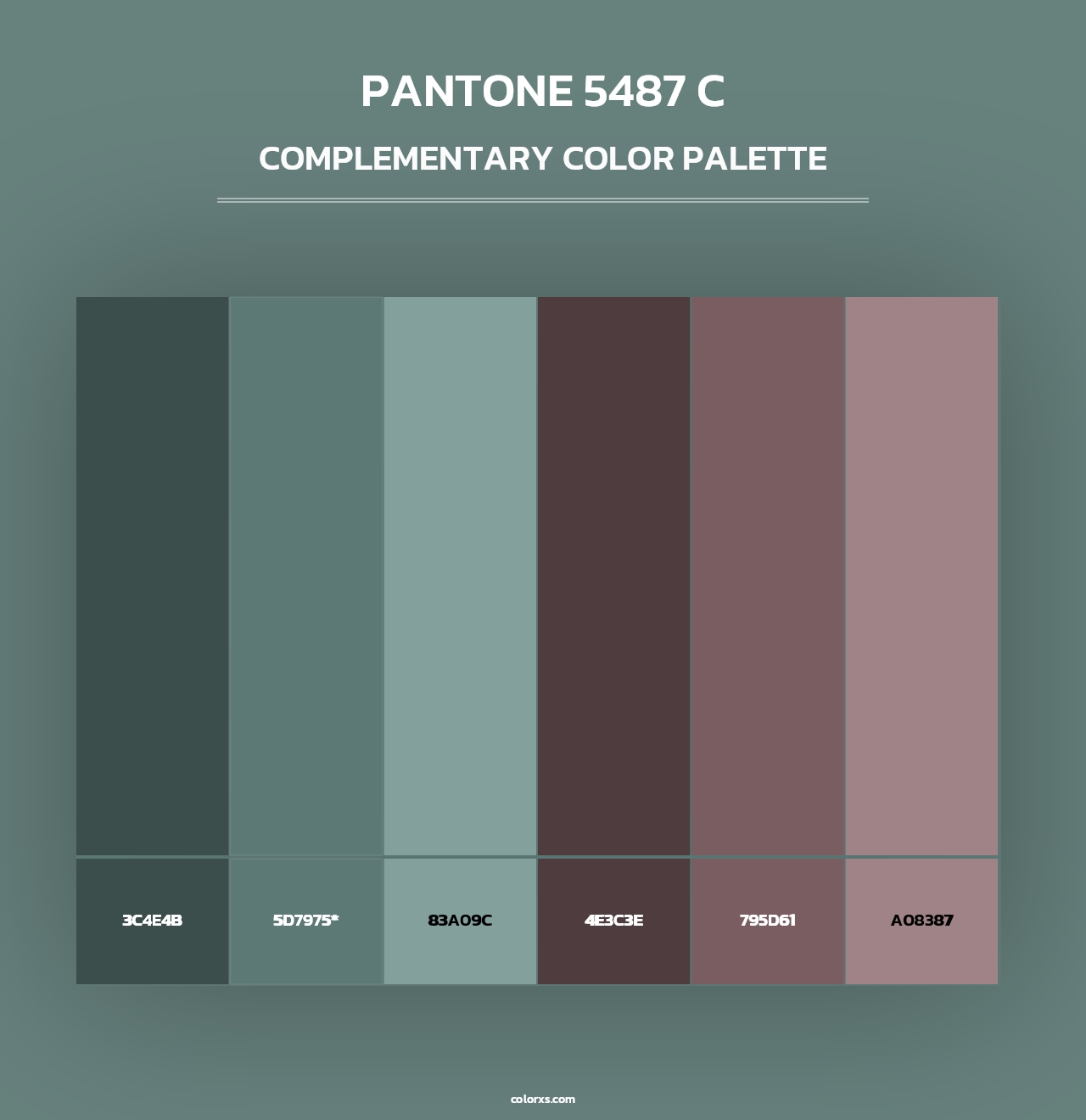PANTONE 5487 C color palettes - colorxs.com