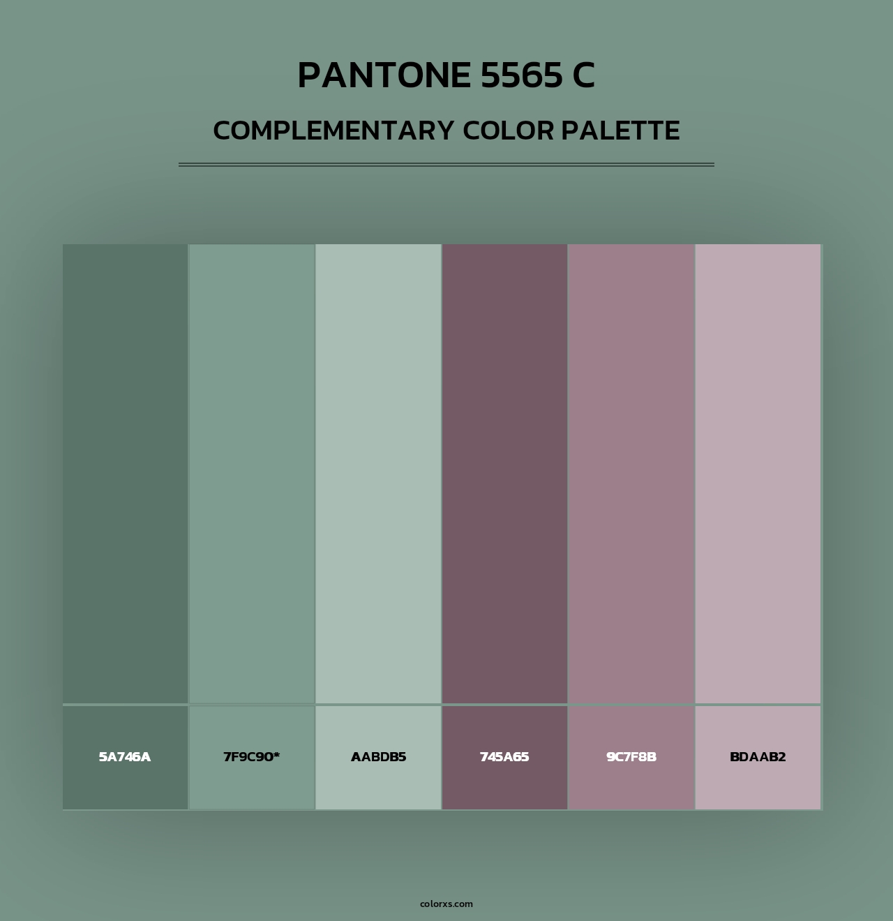 PANTONE 5565 C color palettes - colorxs.com
