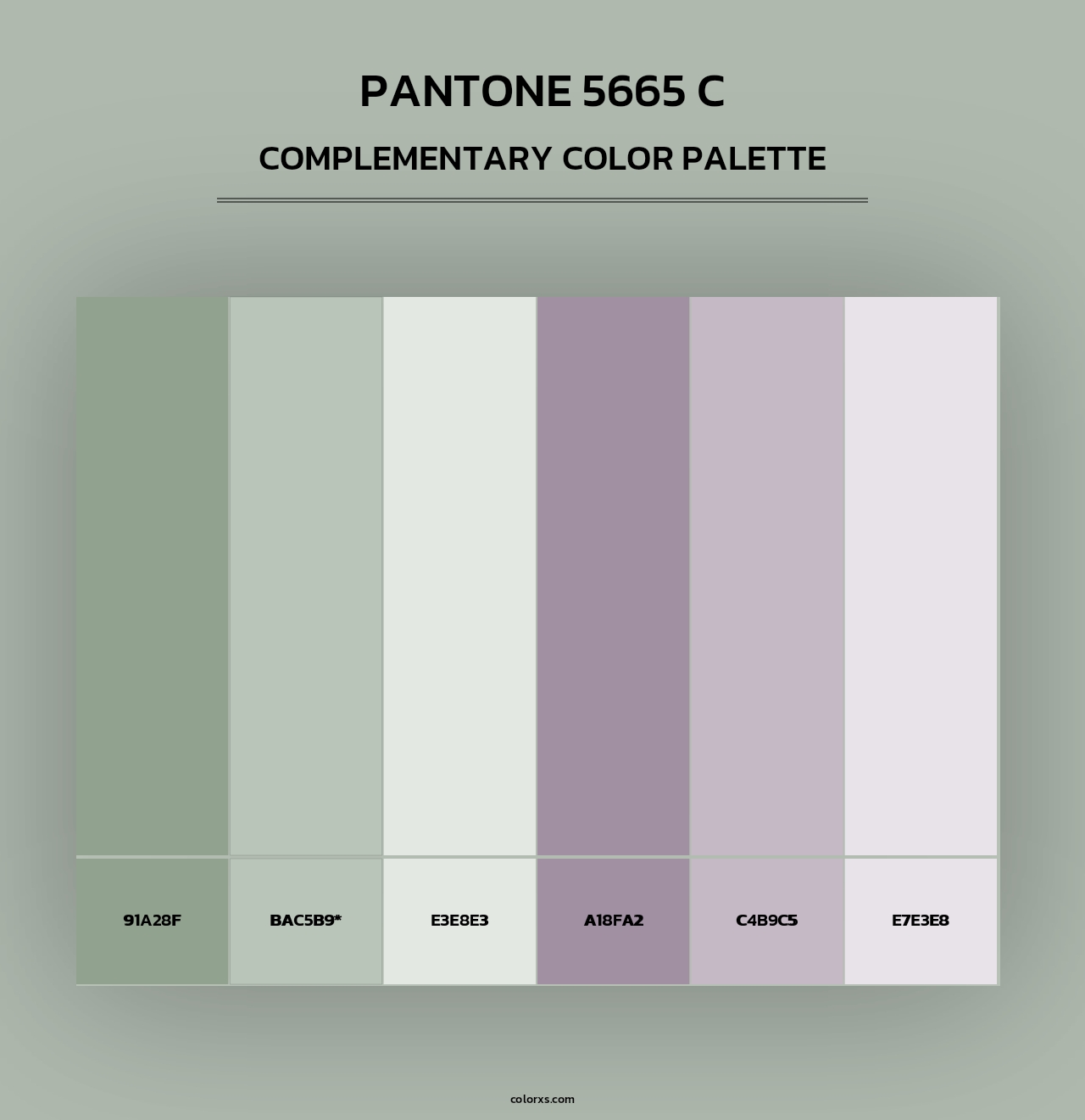 PANTONE 5665 C color palettes - colorxs.com