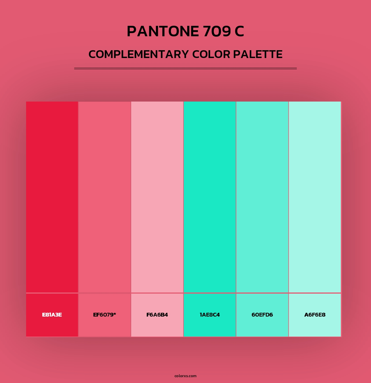 PANTONE 709 C color palettes - colorxs.com