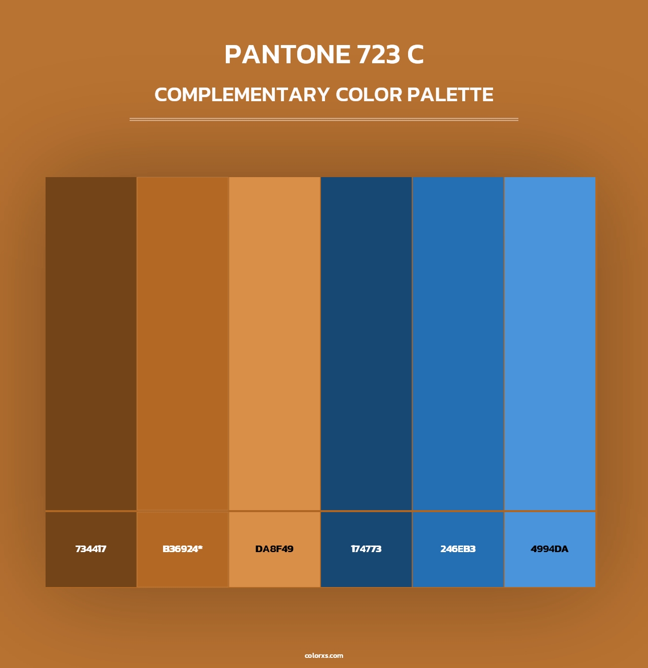 PANTONE 723 C color palettes - colorxs.com