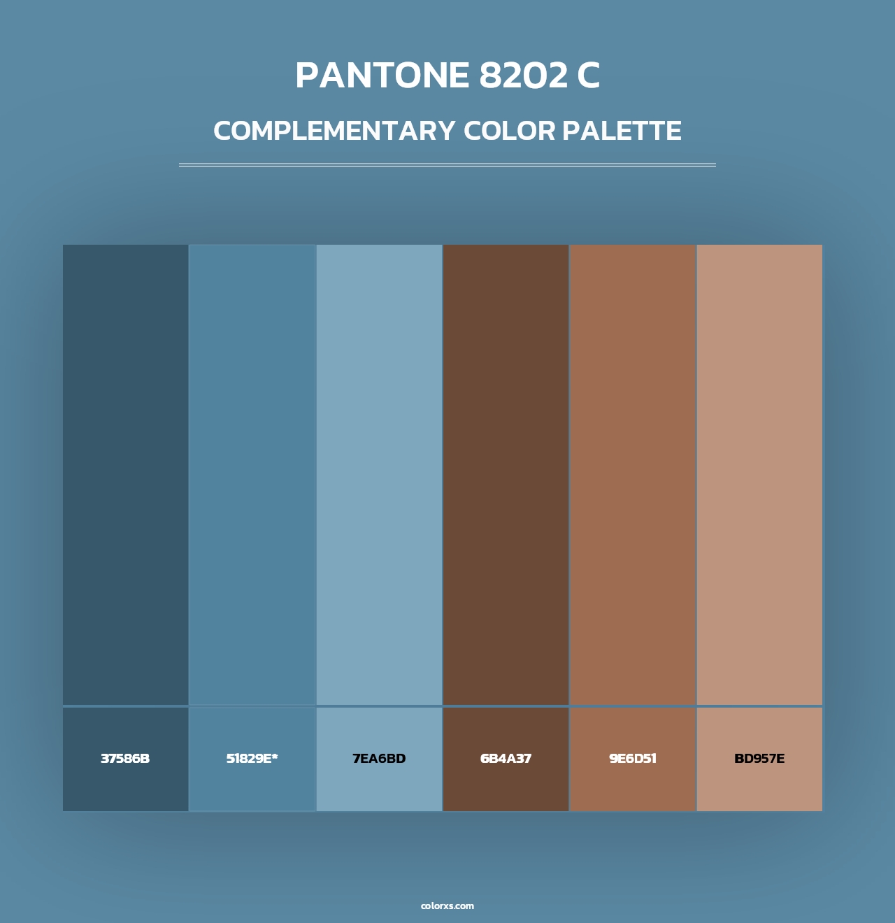 PANTONE 8202 C color palettes - colorxs.com