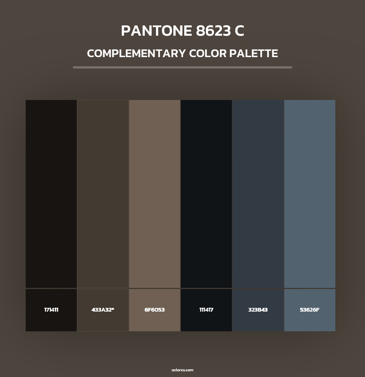 PANTONE 8623 C color palettes - colorxs.com