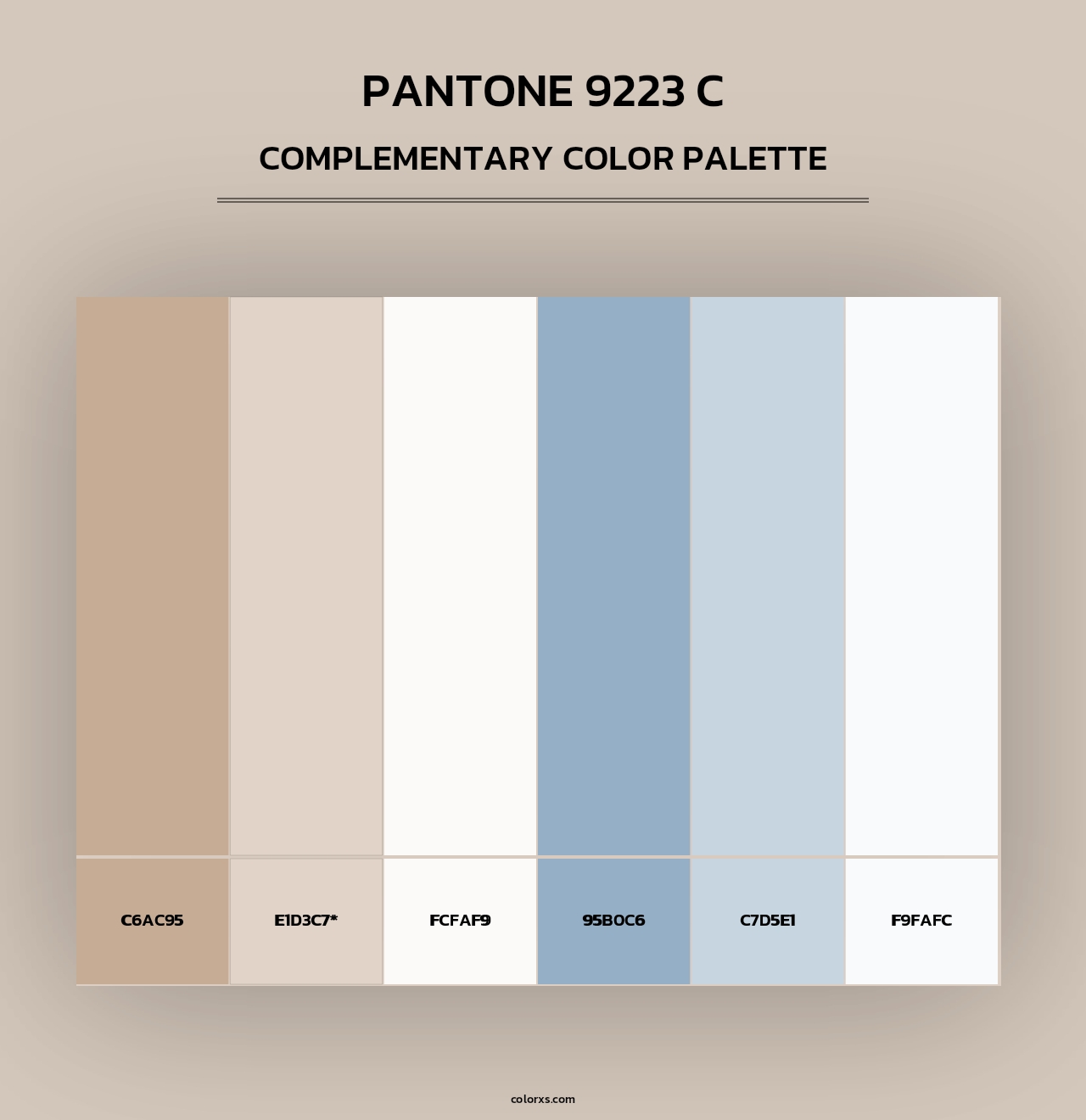 PANTONE 9223 C color palettes - colorxs.com