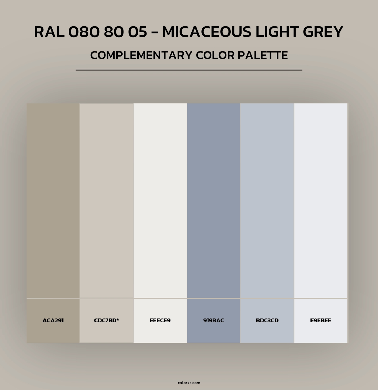 RAL 080 80 05 - Micaceous Light Grey color palettes - colorxs.com