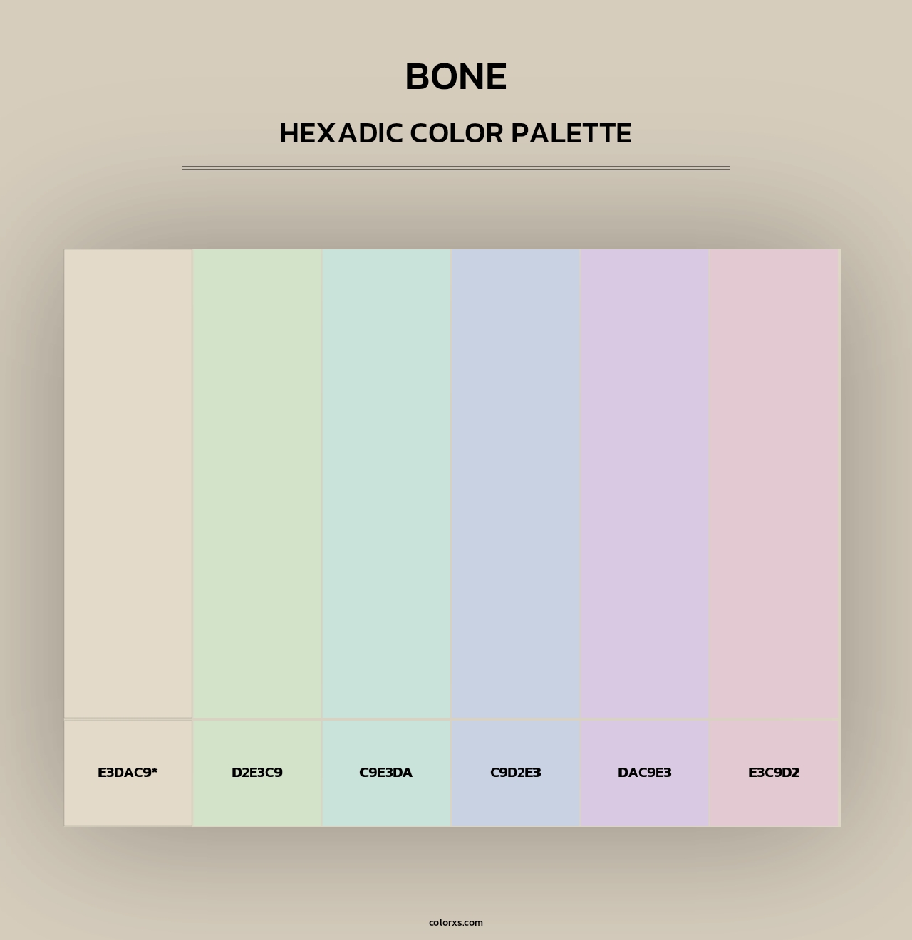 Bone color palettes - colorxs.com