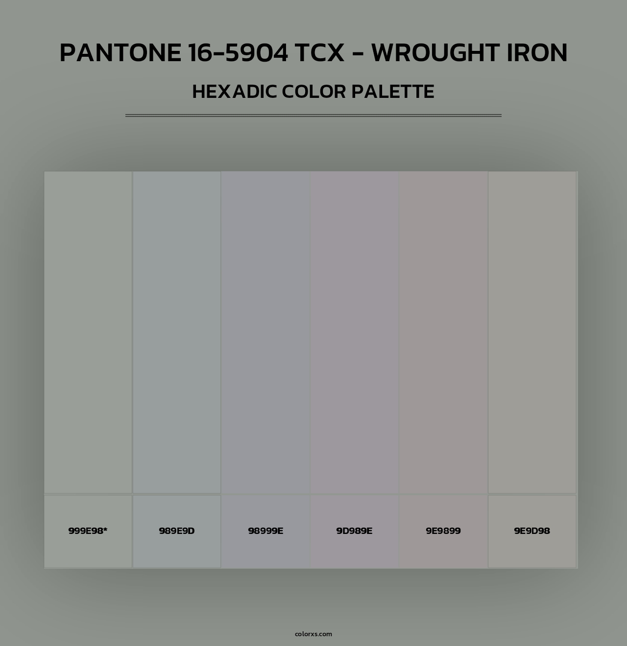 PANTONE 16-5904 TCX - Wrought Iron color palettes - colorxs.com