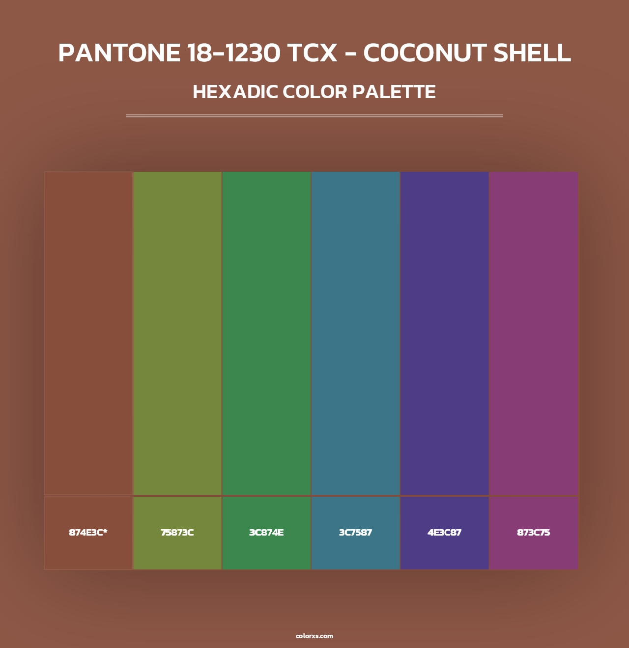 PANTONE 18-1230 TCX - Coconut Shell color palettes - colorxs.com