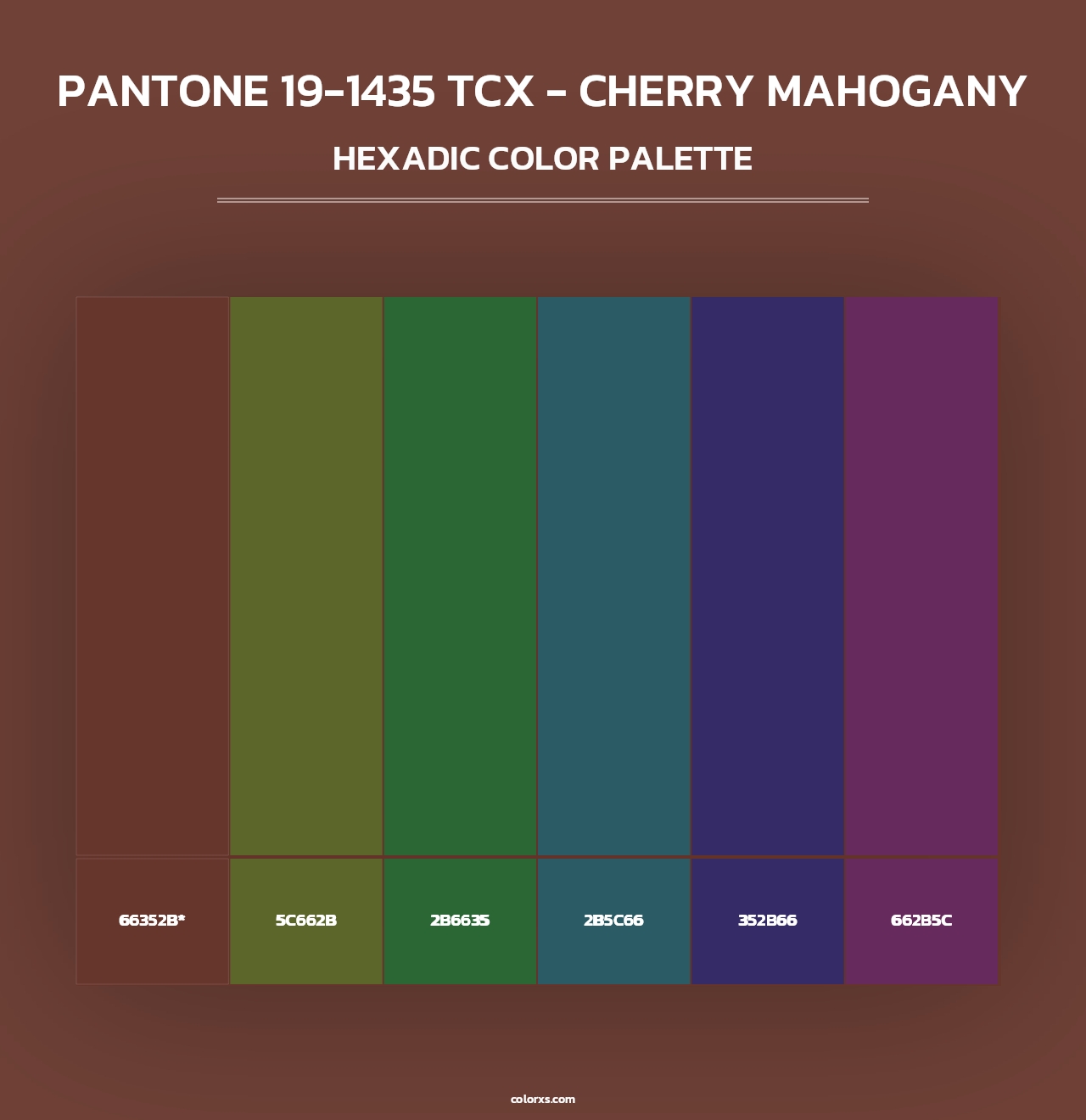 PANTONE 19-1435 TCX - Cherry Mahogany color palettes - colorxs.com