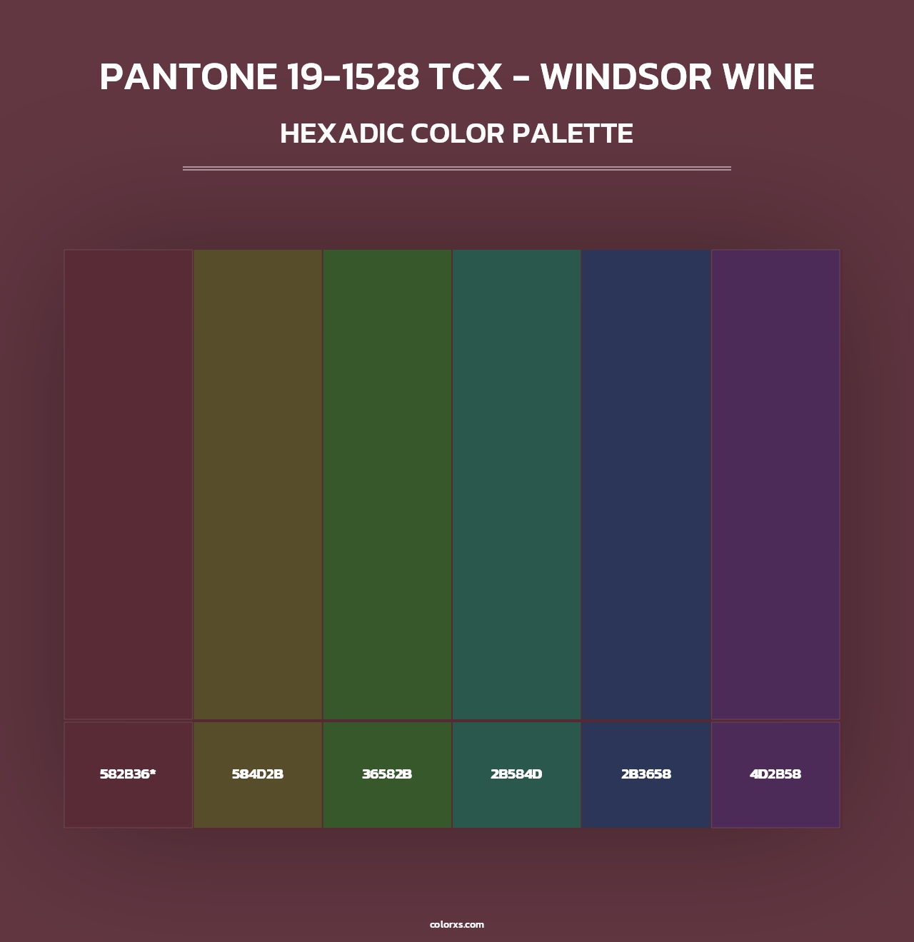 PANTONE 19-1528 TCX - Windsor Wine color palettes - colorxs.com