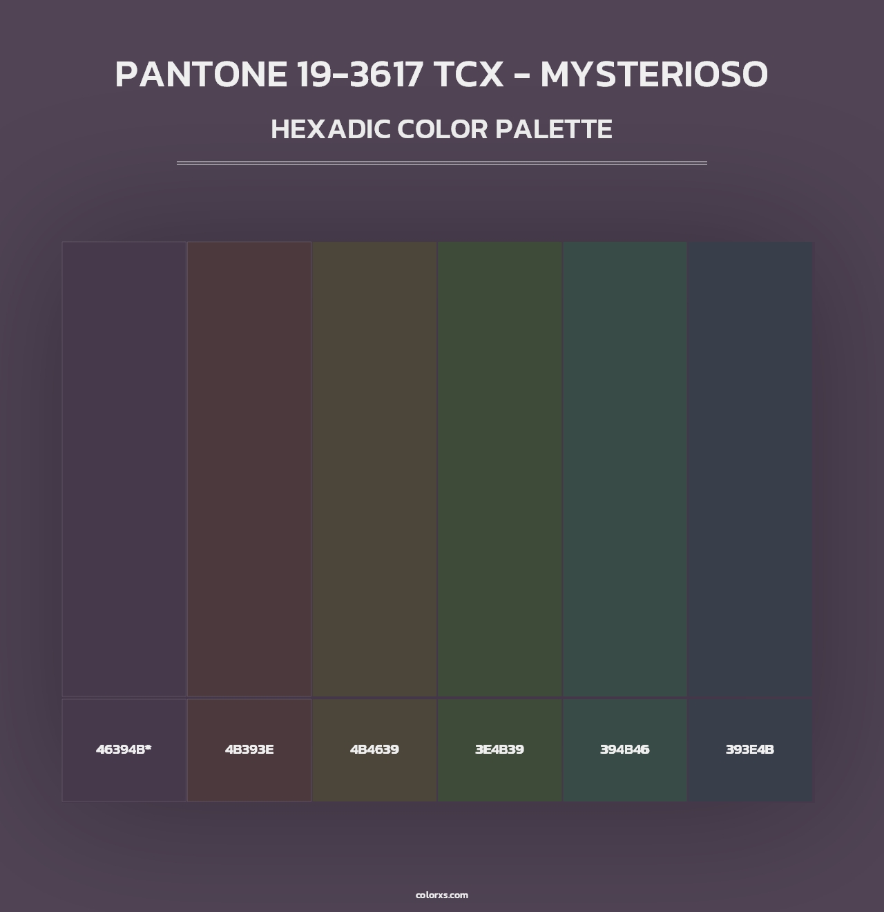 PANTONE 19-3617 TCX - Mysterioso color palettes - colorxs.com