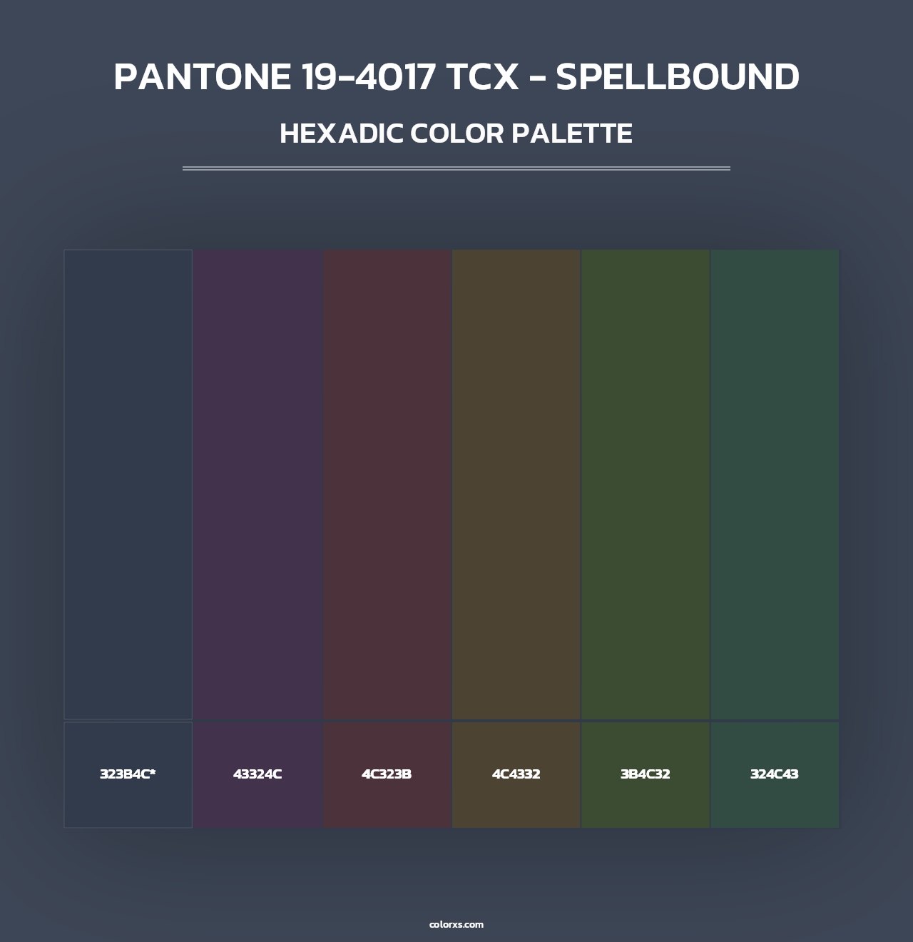 PANTONE 19-4017 TCX - Spellbound color palettes - colorxs.com