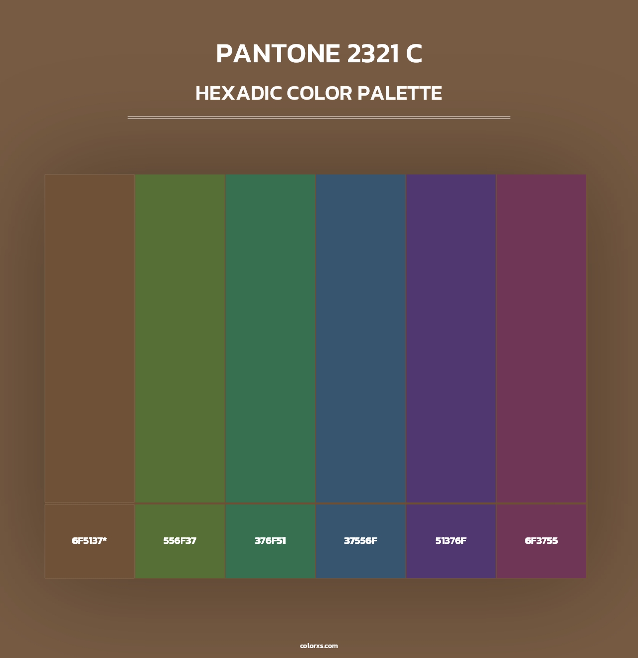 PANTONE 2321 C color palettes - colorxs.com