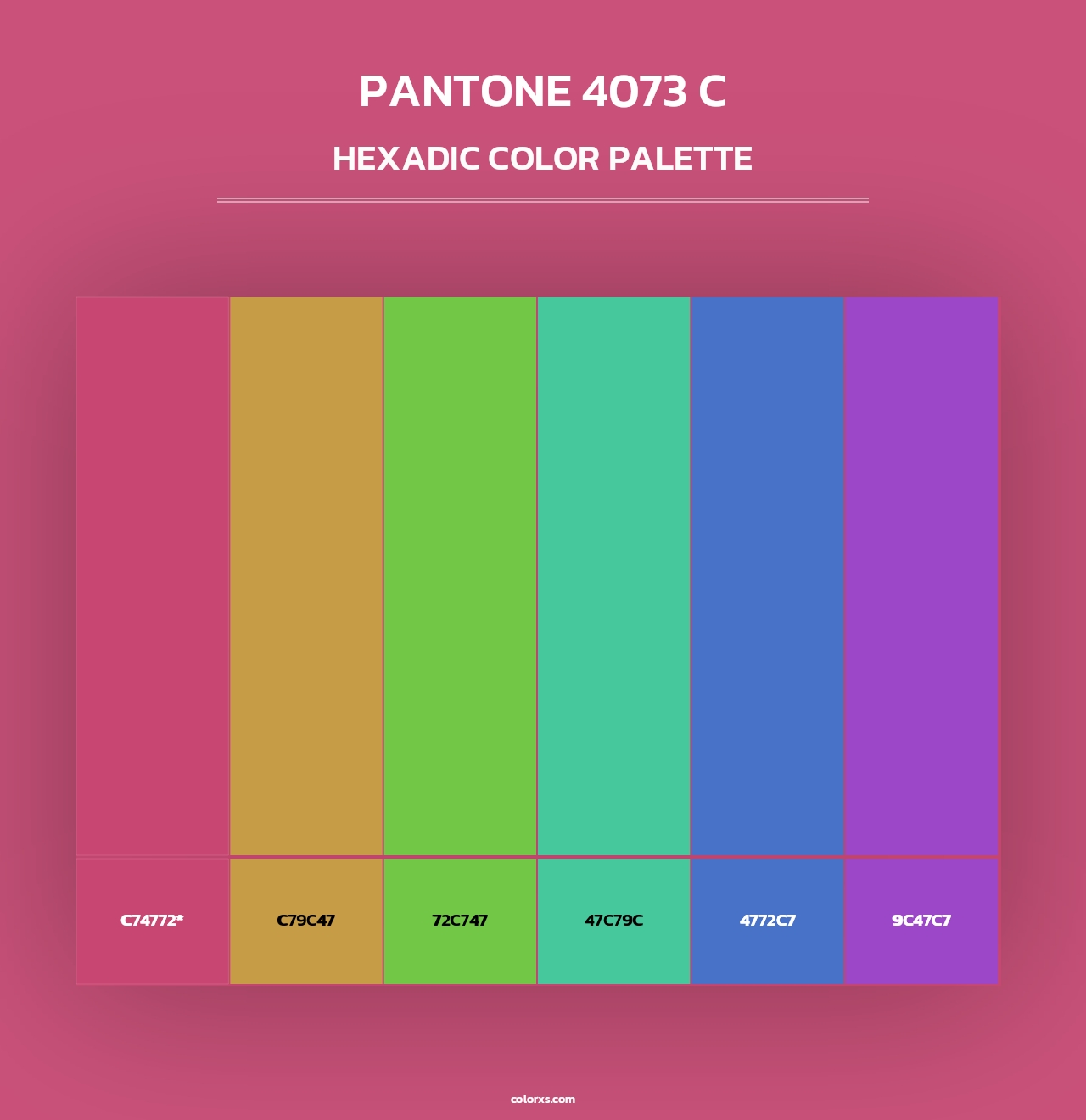 PANTONE 4073 C color palettes - colorxs.com