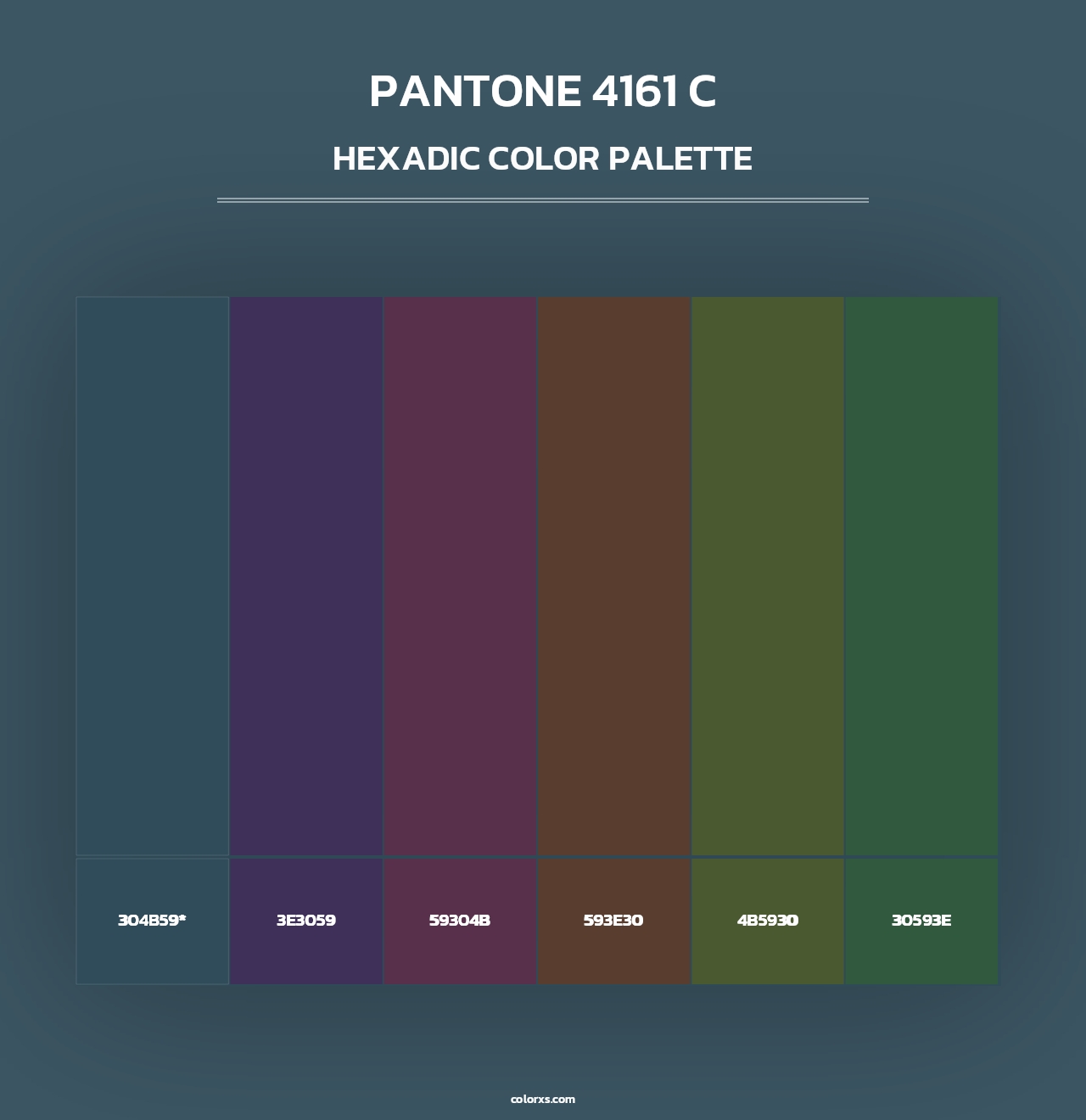 PANTONE 4161 C color palettes - colorxs.com